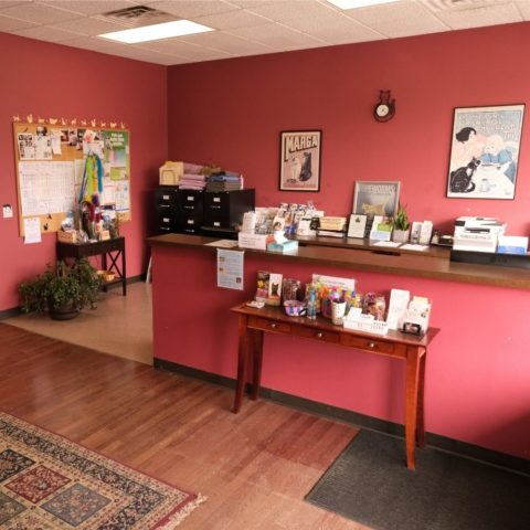 Best Cat Vet In Iowa City, IA | Cat Clinic Of Iowa City